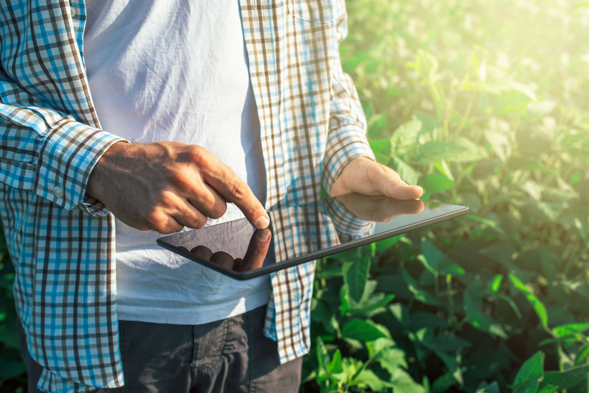 3 Reasons Agricultural Services Need Sales Organization Tools